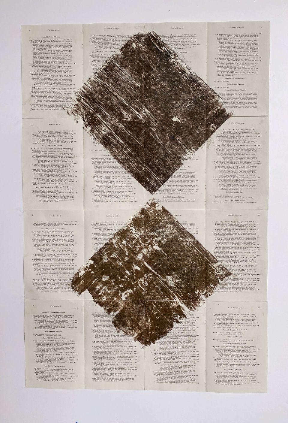 Simryn Gill | HKW Haus der Kulturen der Welt