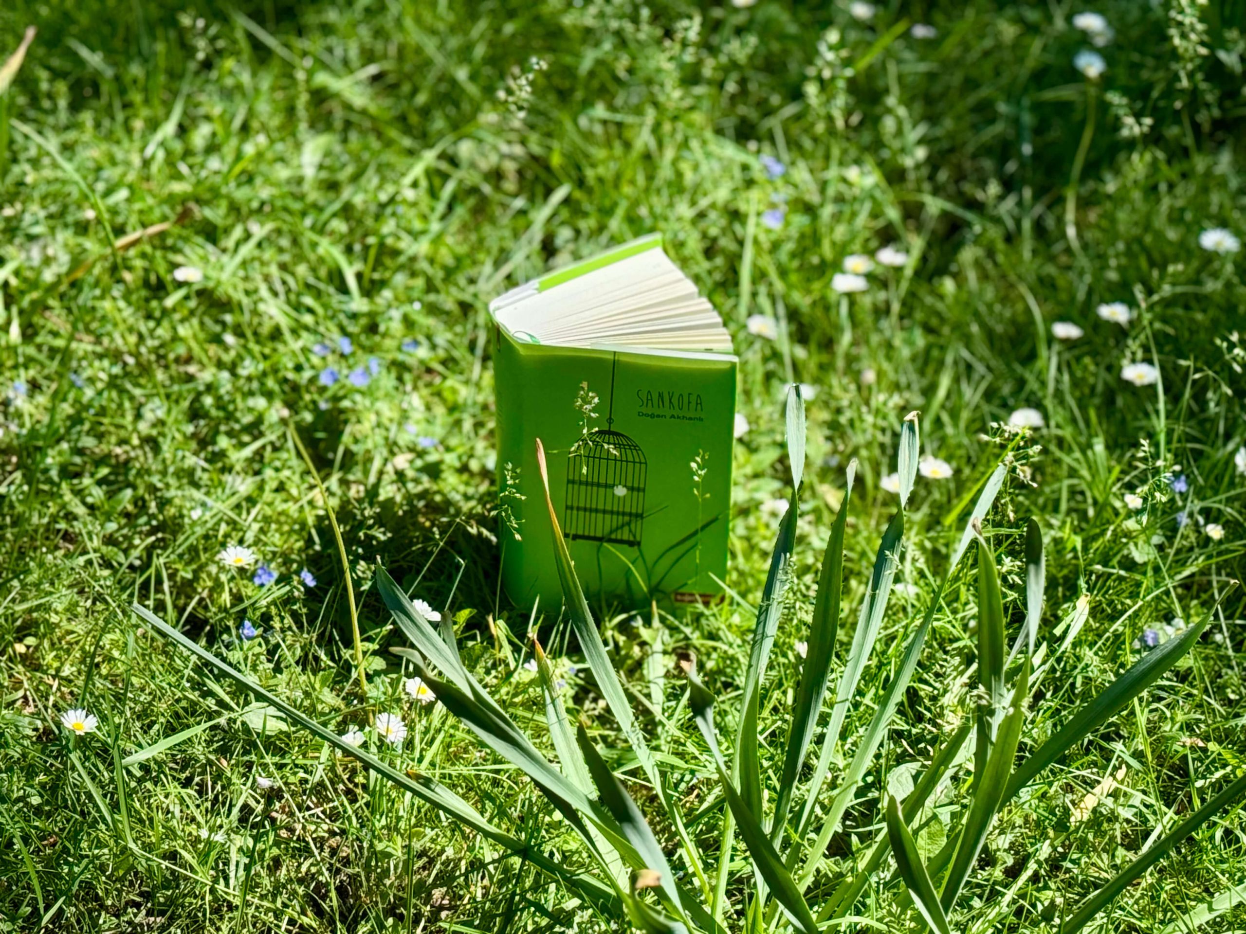 Sankofa | HKW Haus der Kulturen der Welt