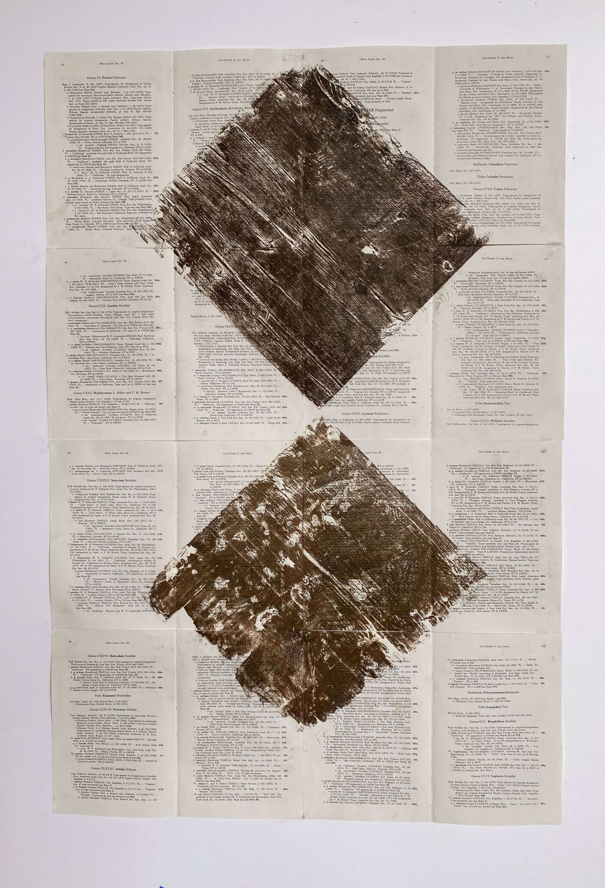 Simryn Gill | HKW Haus der Kulturen der Welt